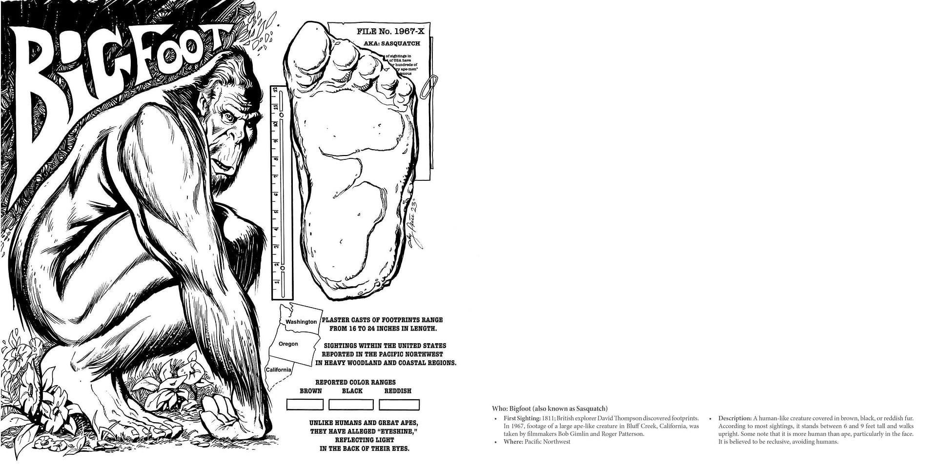 Cryptid Creatures Coloring Book – Dryad Games