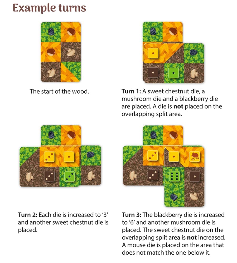 Forage: A 9 card solitaire game – Dryad Games